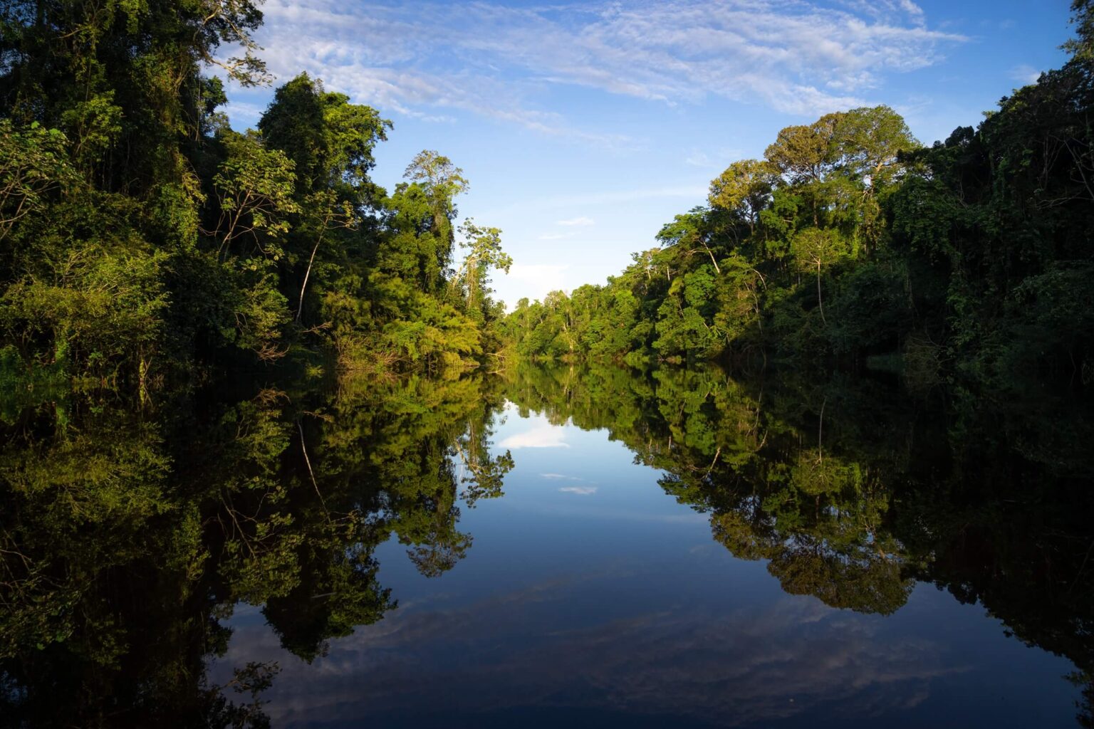 Reserva nacional Pacaya Samiria - Guia de viajes en Peru